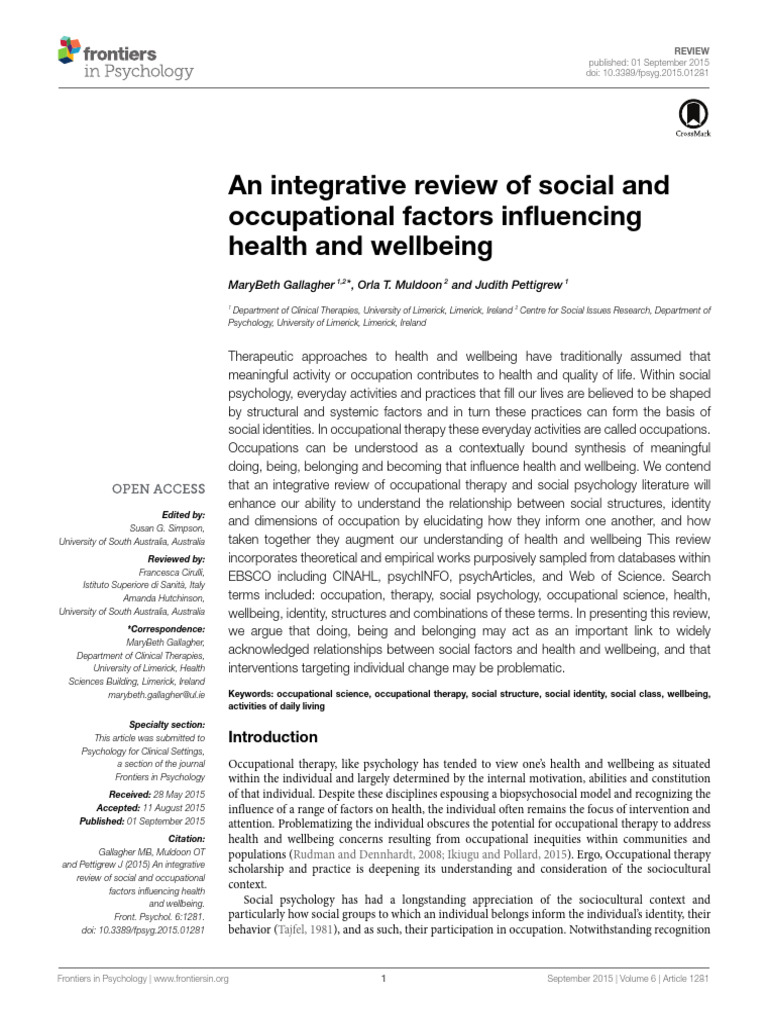 An Integrative Review of Social and | PDF | Identity (Social Science ...