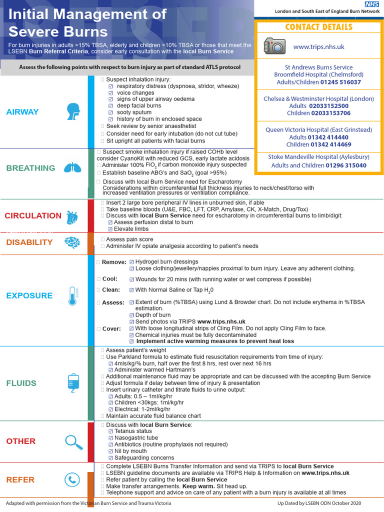 Initial Management of Severe Burns Guide | PDF | Burn | Injury