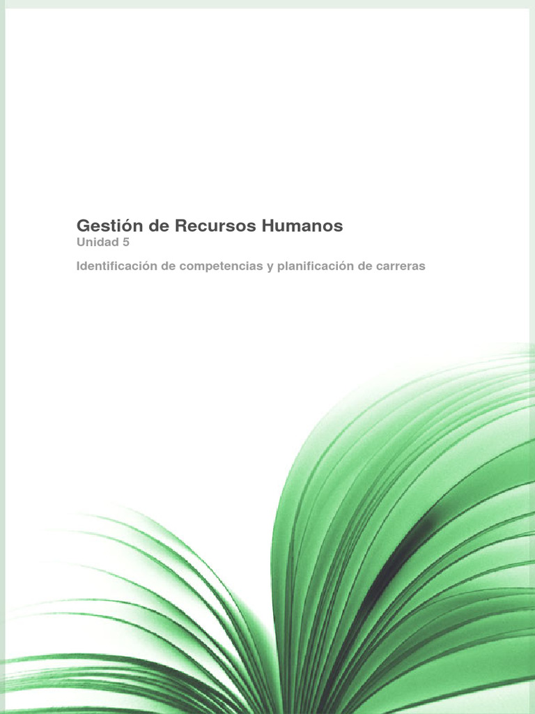 Identificación de Competencias | PDF | Gestión de recursos humanos | Business