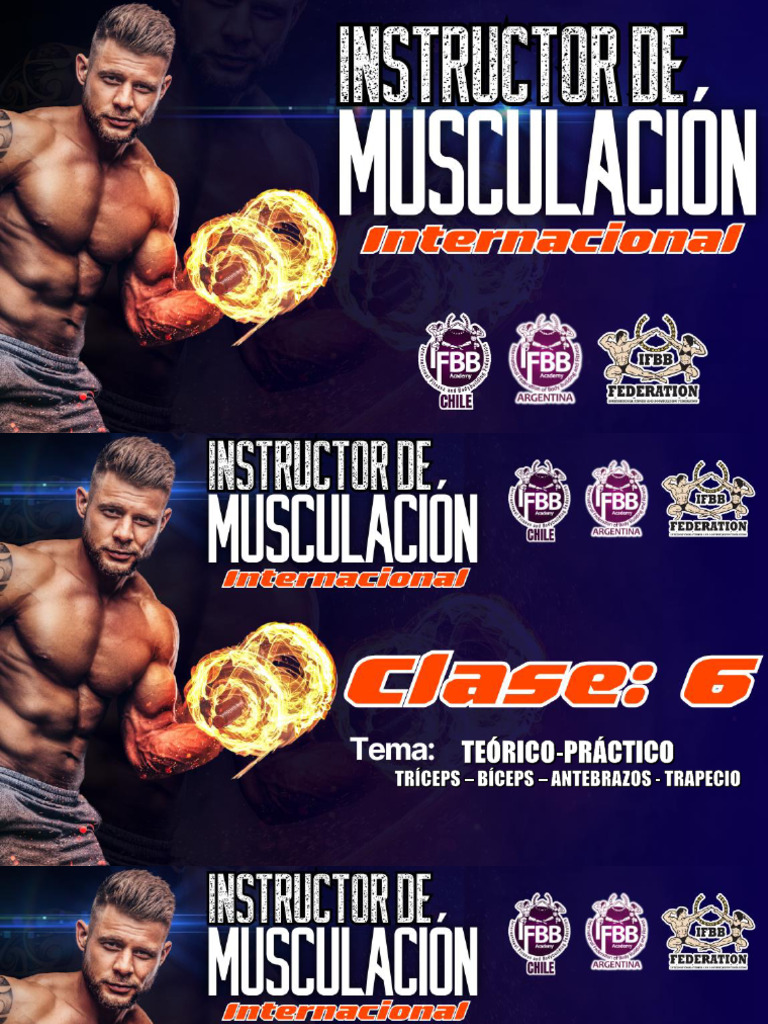 Clase 6 Triceps Biceps Antebrazo Trapecio | PDF | Codo | Hombro
