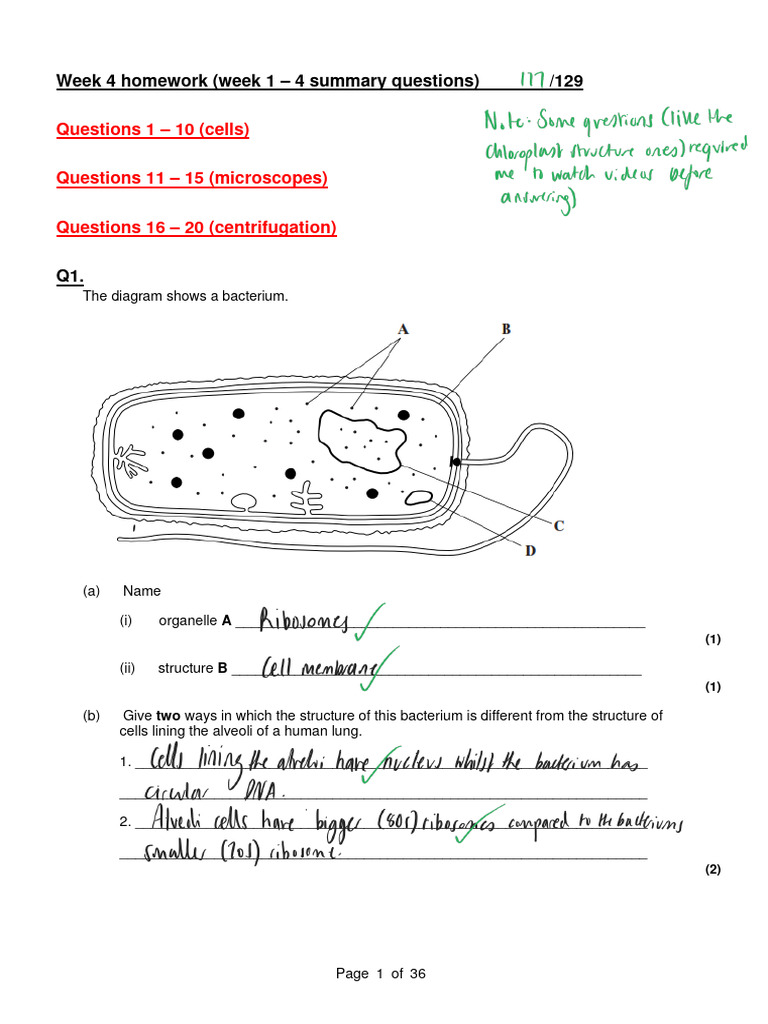 Biology Homework Summary | PDF | Cell (Biology) | Microscope