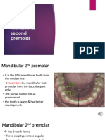 13 - Maxillary 2. Molar | PDF | Dental Anatomy | Tooth