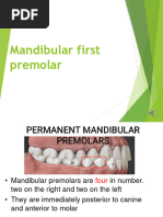 Maxillary 1st Premolar | PDF | Dental Anatomy | Tooth