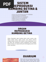 Gambar Alat Reproduksi Sapi Betina | PDF