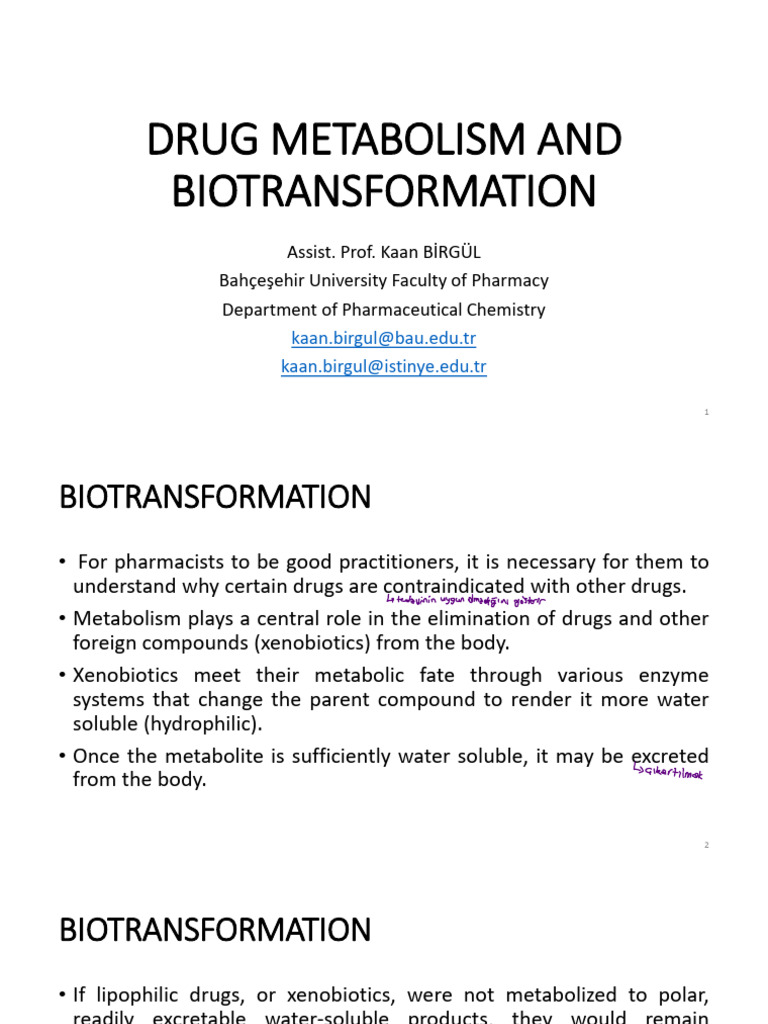 2 Drug Metabolism And Biotransformation Download Free Pdf Drug