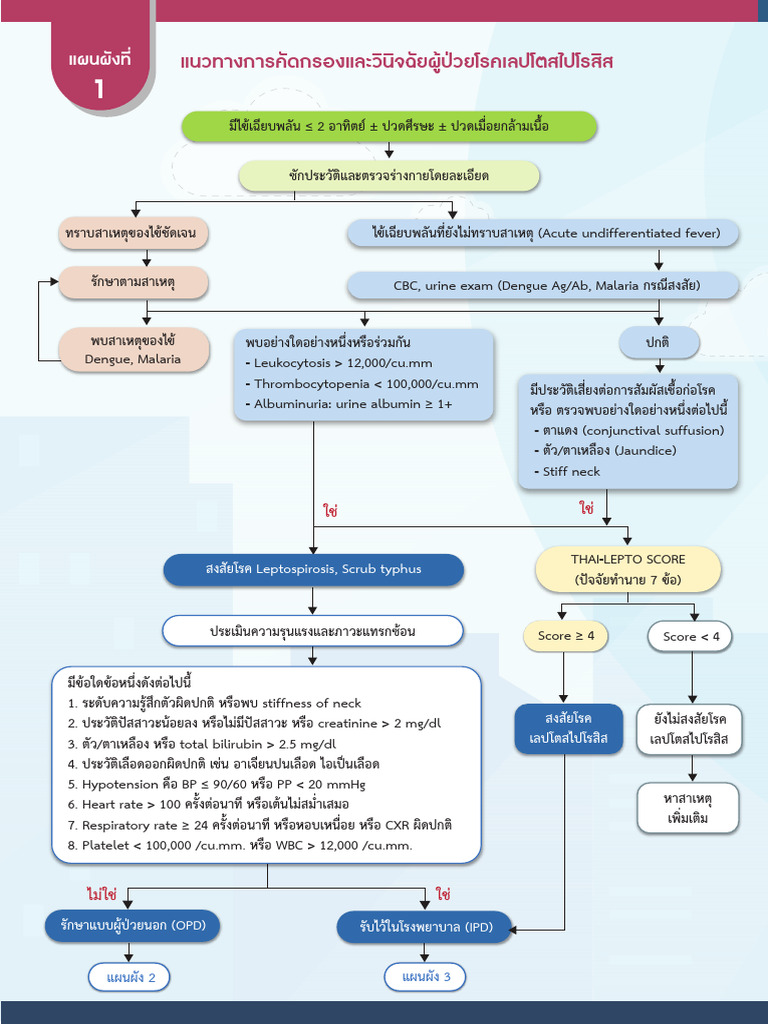 Guidelines Leptospirosis 2 | PDF