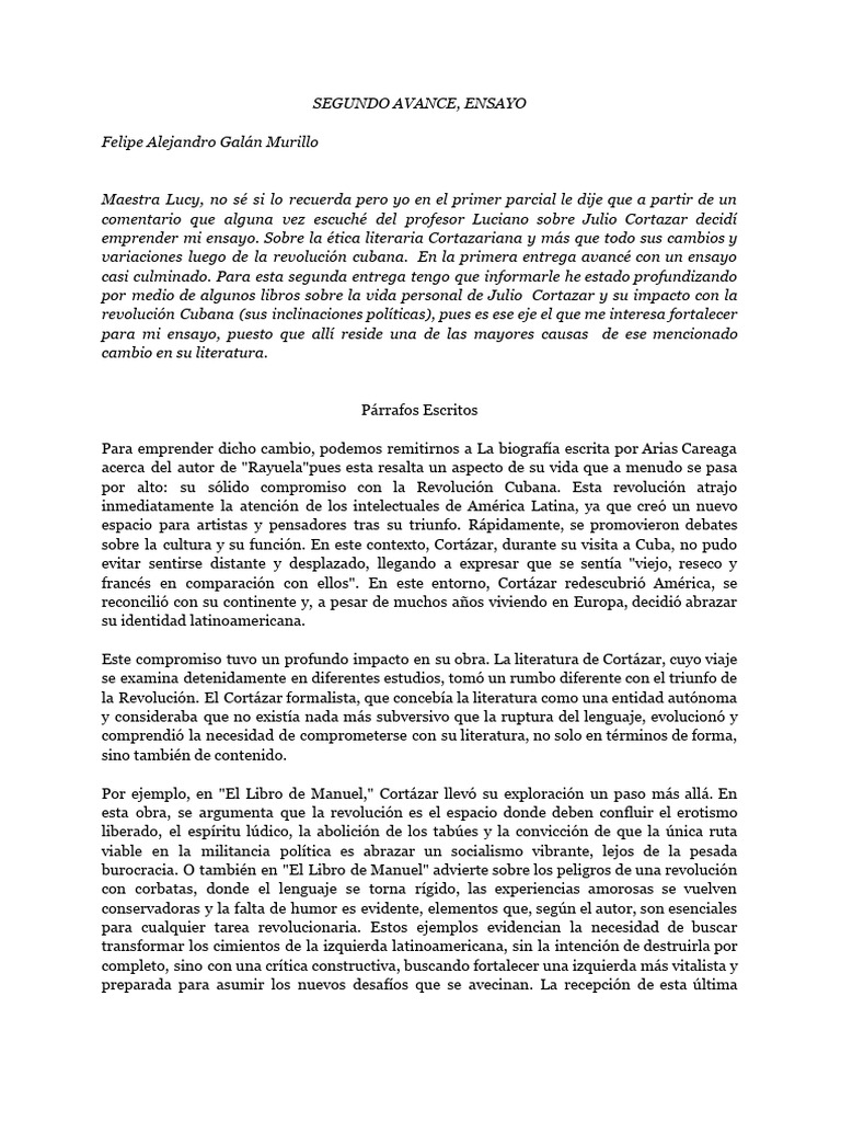 Segundo Avance, Ensayo | PDF | Intelectual | Che Guevara