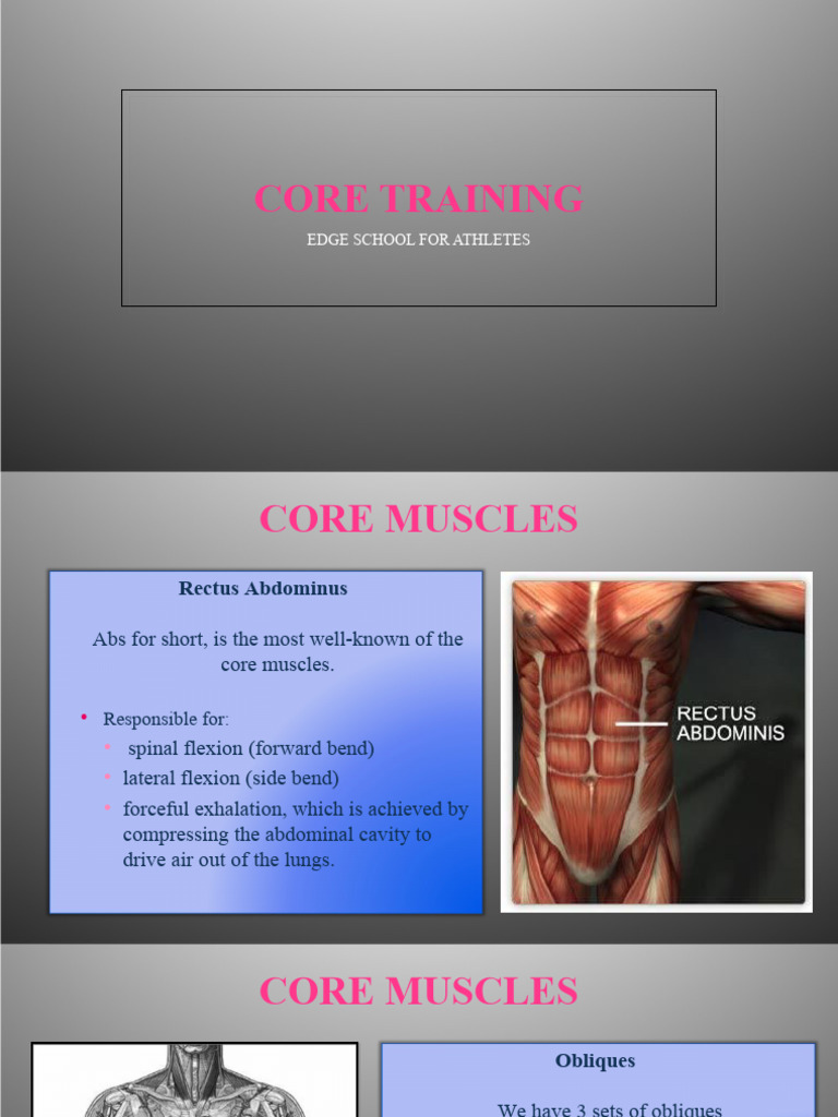 Core Training | PDF | Pelvis | Abdomen