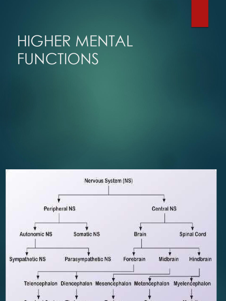 Higher Mental Function | Download Free PDF | Memory | Recall (Memory)