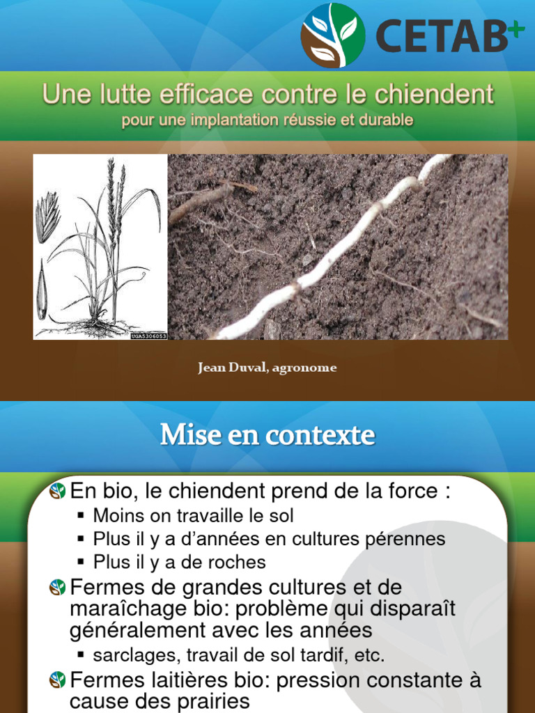 Lutte Efficace Contre Le Chiendent Fev 2014 | PDF | Maïs | Agriculture ...