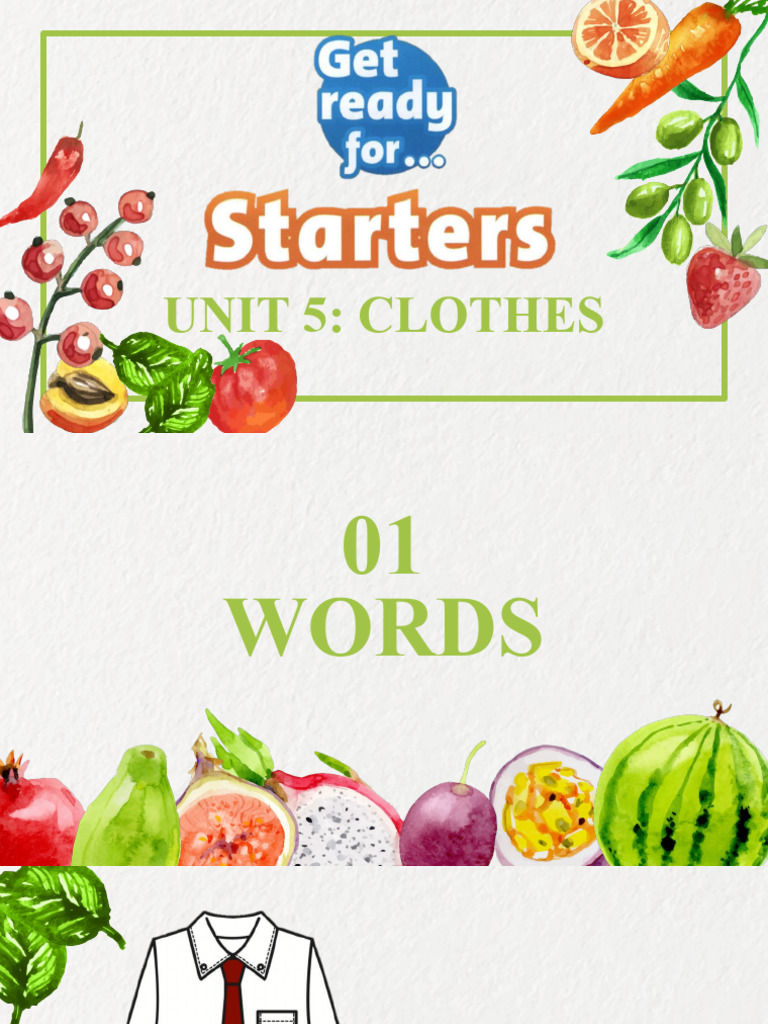 Clothes Vocabulary and Activities Guide | PDF