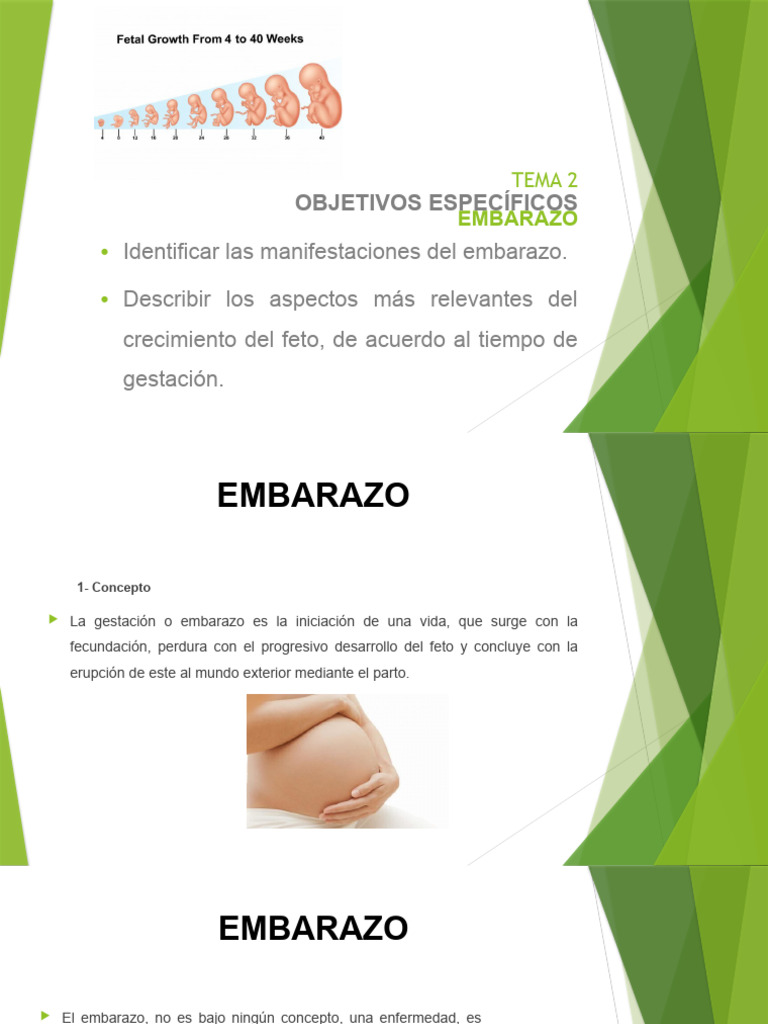 Tema 2. Embarazo | Descargar gratis PDF | El embarazo | Placenta
