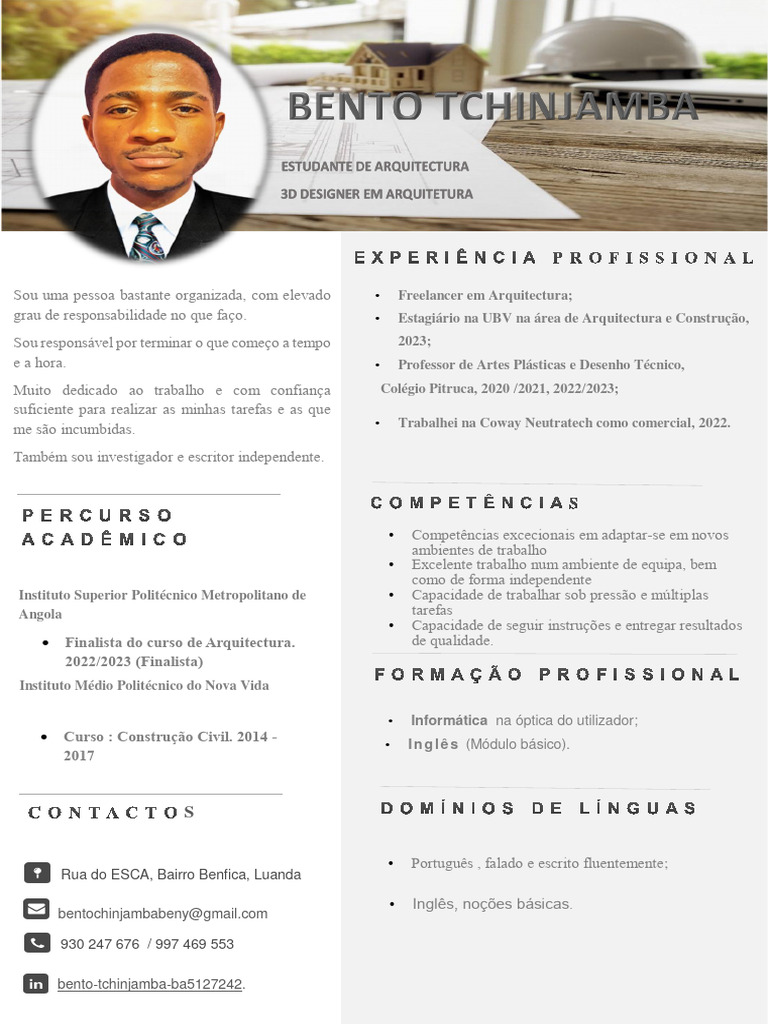 CV Bento Profissional 2023 | PDF | Arte