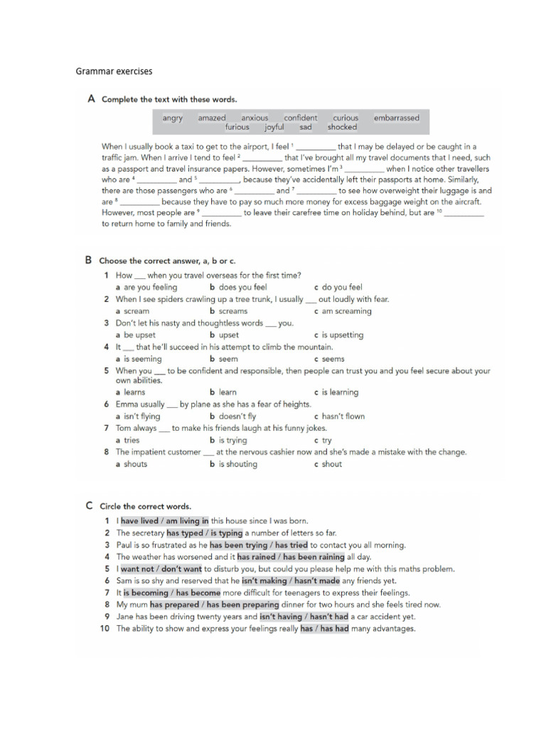 B2 - Grammar Exercises - 01 | PDF