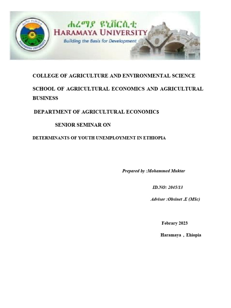Mohammed Muktar Seminar To Print | PDF | Unemployment | Employment