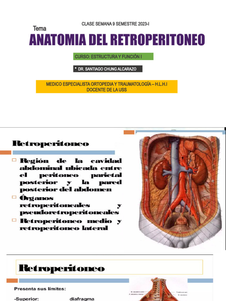 7.anatomia Del Retroperitoneo | PDF | Riñón | Especialidades Medicas