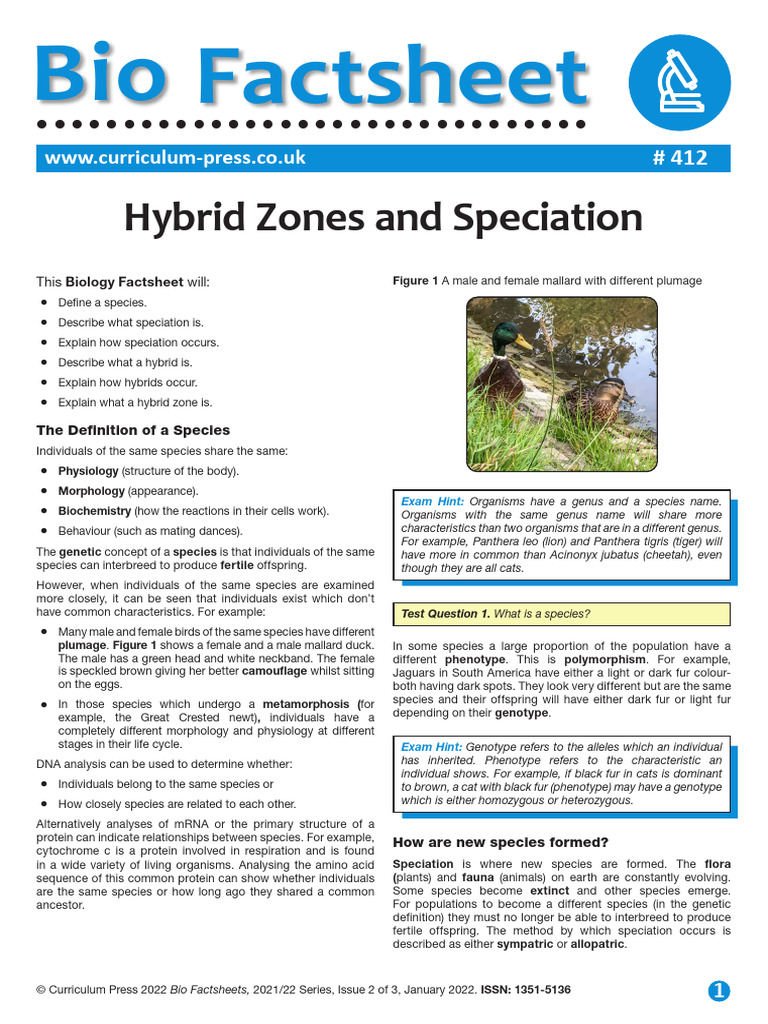 412-Hybrid-Zones-and-Speciation | PDF | Hybrid (Biology) | Species