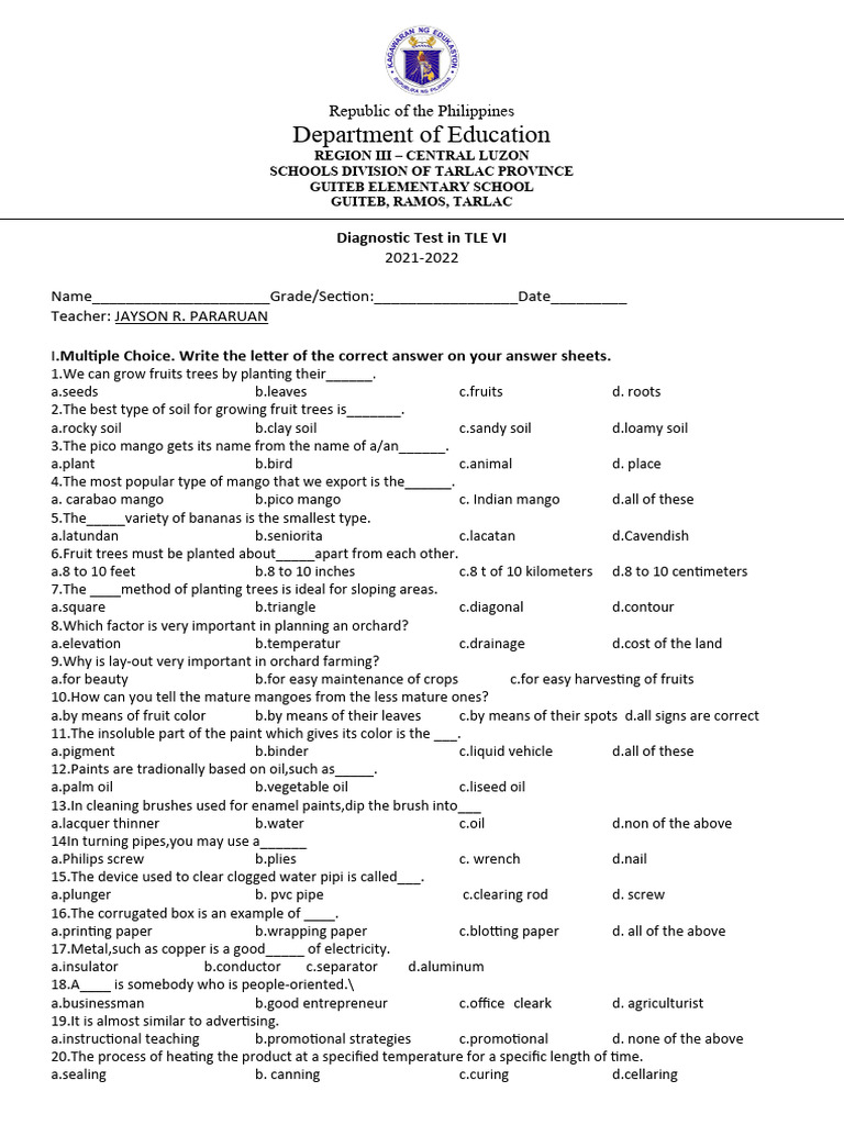 TLE VI Diagnostic Test for Grade 6 | PDF | Paper | Paint