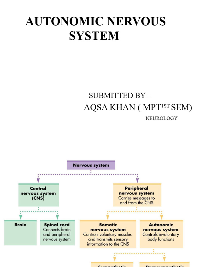 Autonomic Nervous System: Aqsa Khan (MPT Sem) | PDF | Autonomic Nervous ...