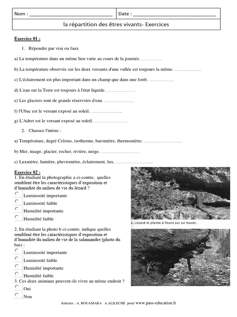 Évaluation SVT 6ème : Êtres vivants et environnement | PDF | Sciences ...