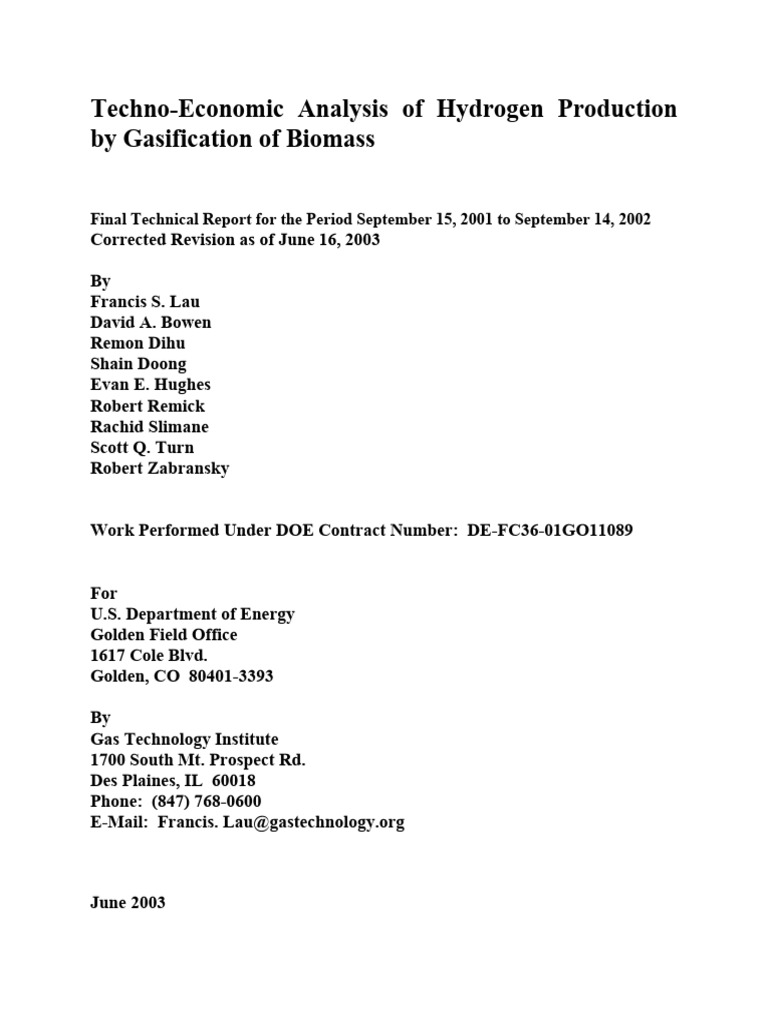 Techno-Economic Analysis of Hydrogen Production by Gasifacation ...