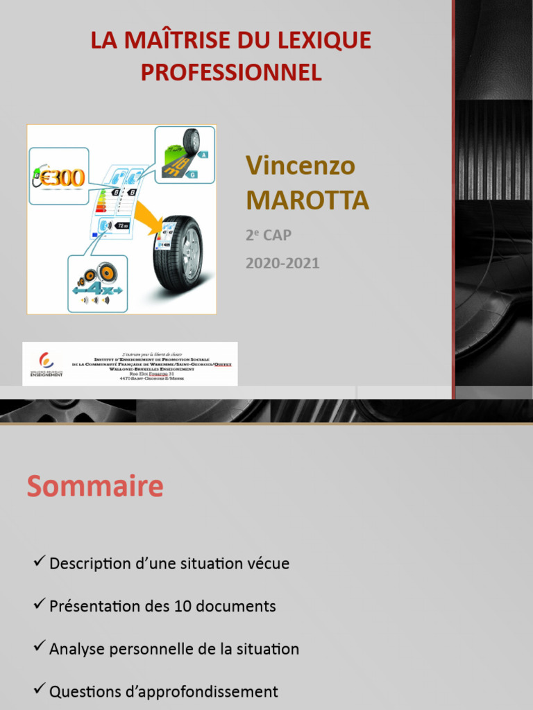 La Maîtrise Du Lexique Professionnel - VM | PDF | Arts du langage et discipline | Ordinateurs