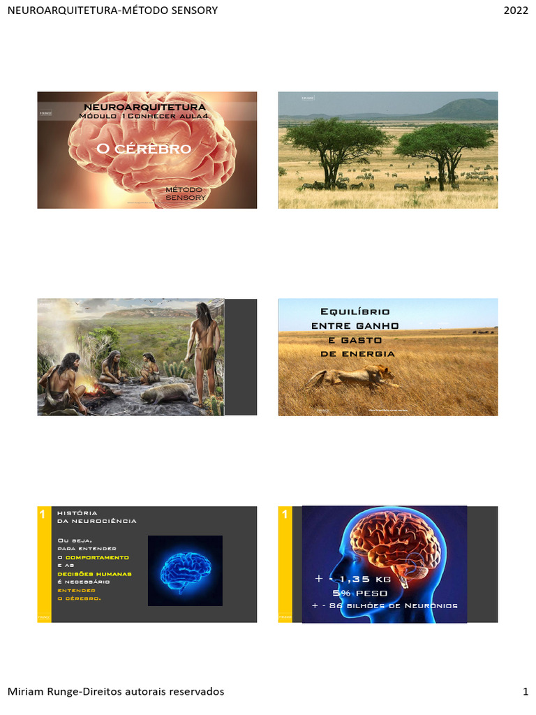 M1-AULA 04-CÉREBRO-slides | PDF | Fisiologia | Anatomia