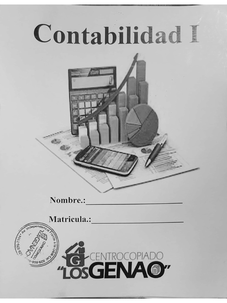 Libro de Contabilidad 1 | PDF