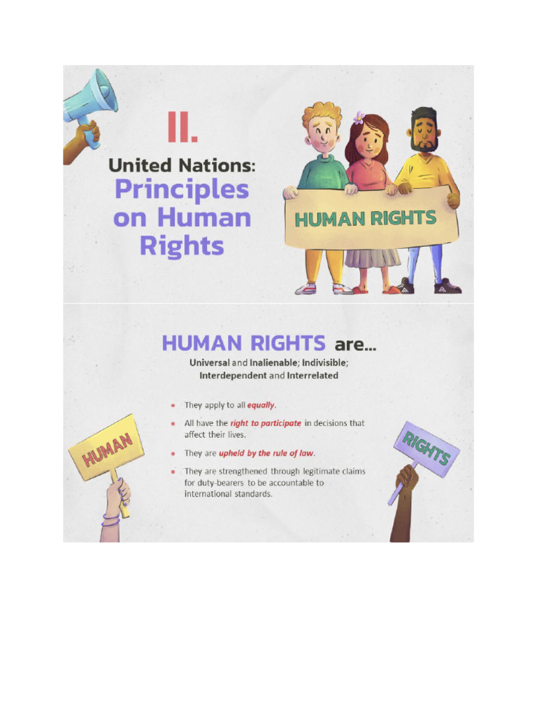 UDHR | PDF
