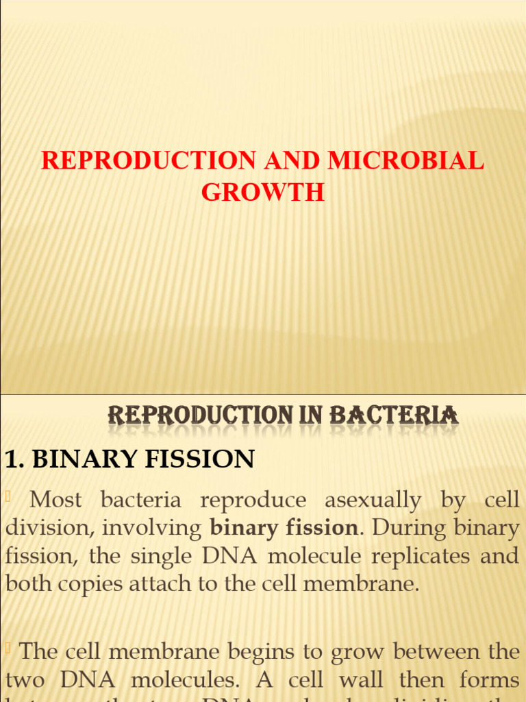 Bacterial and Fungal Reproduction Methods | PDF | Fungus | Spore