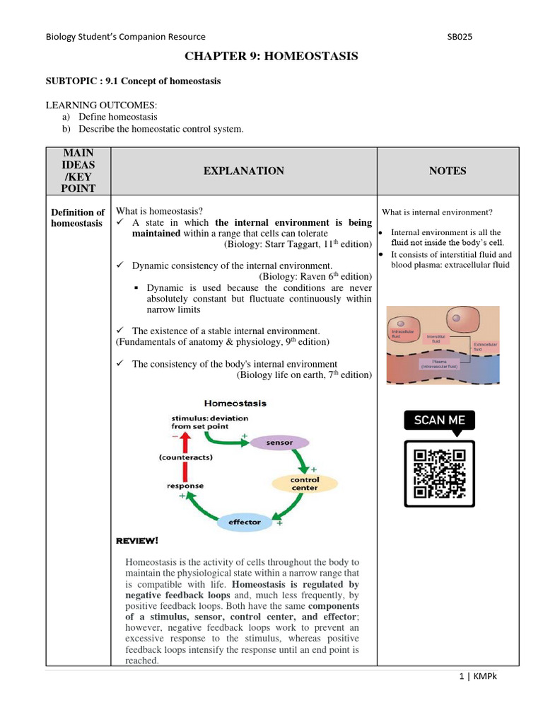 HOMEOSTASIS | PDF | Kidney | Homeostasis