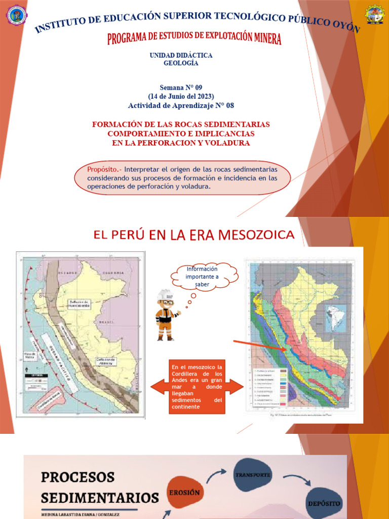 Formación de Rocas Sedimentarias | PDF | Roca (geología) | Roca clástica