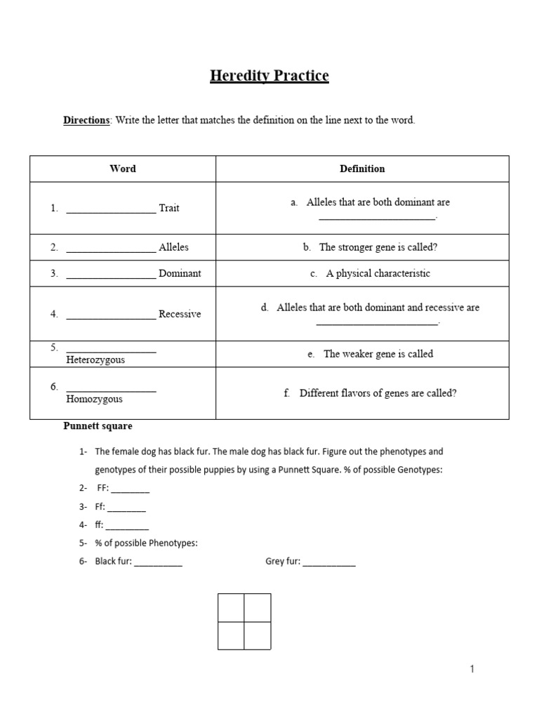 Heredity Revision Worksheet | PDF | Dominance (Genetics) | Genotype
