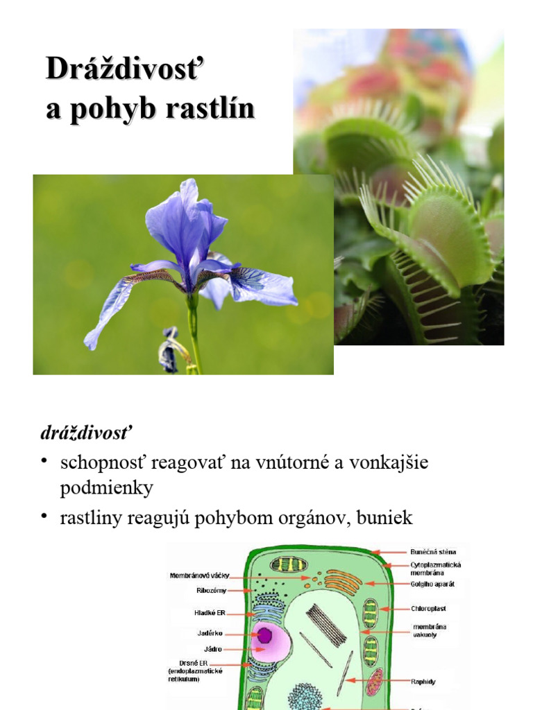 Dráždivosť A Pohyb Rastlín | PDF