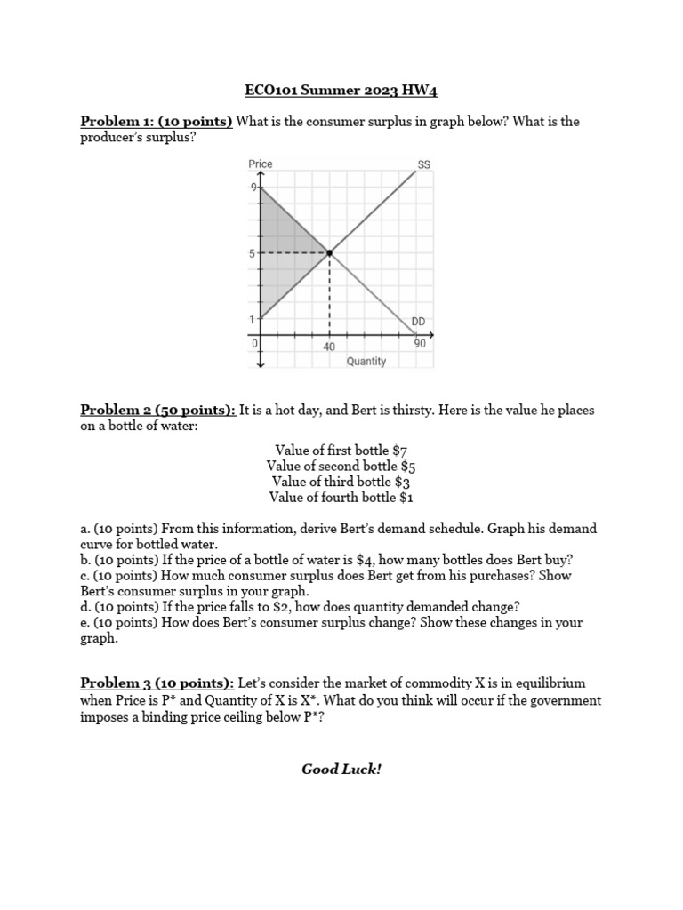 Economics Homework for Students | PDF