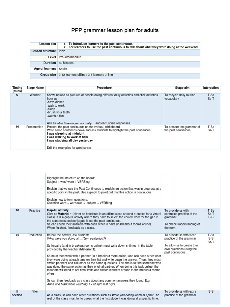 Grammar Lesson Plan - Adults | PDF | Behavior Modification | Cognition