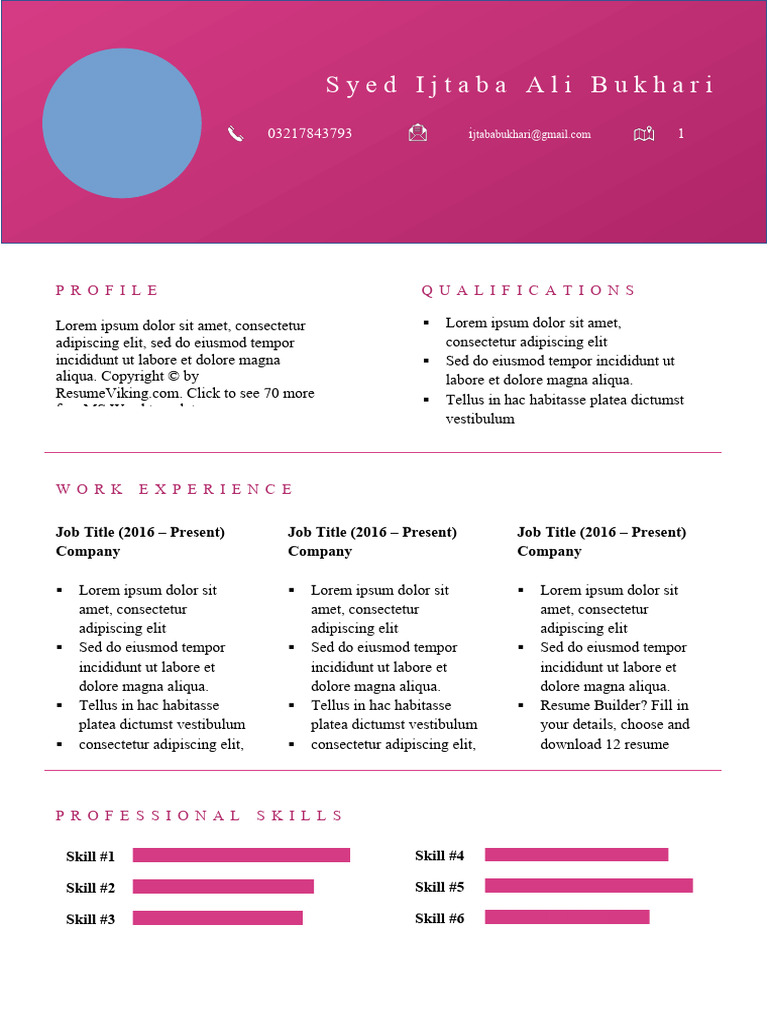 Word Resume Template ResumeViking 17 | PDF Word Resume Template ResumeViking 17 | PDF
