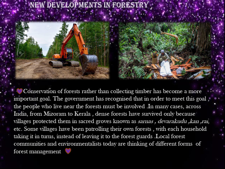 New Development in Forestry | PDF