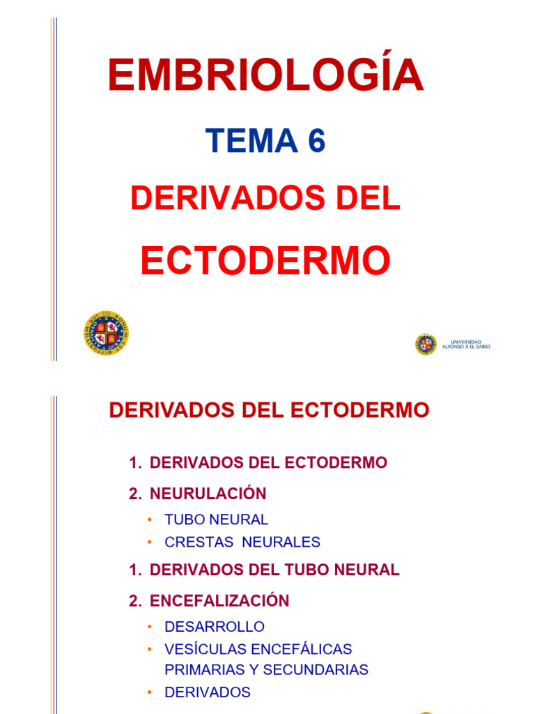 Tema 6 Ectodermo | PDF | Zoología | Sistema nervioso