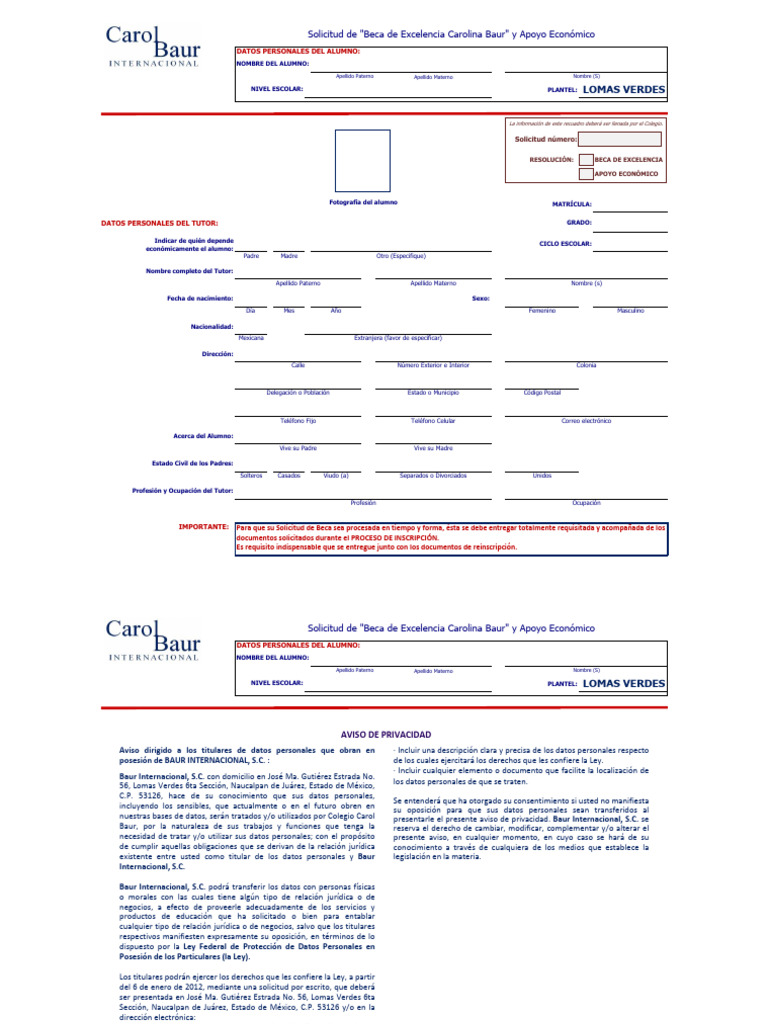 Solicitud de Beca Excelencia CCB LV | PDF