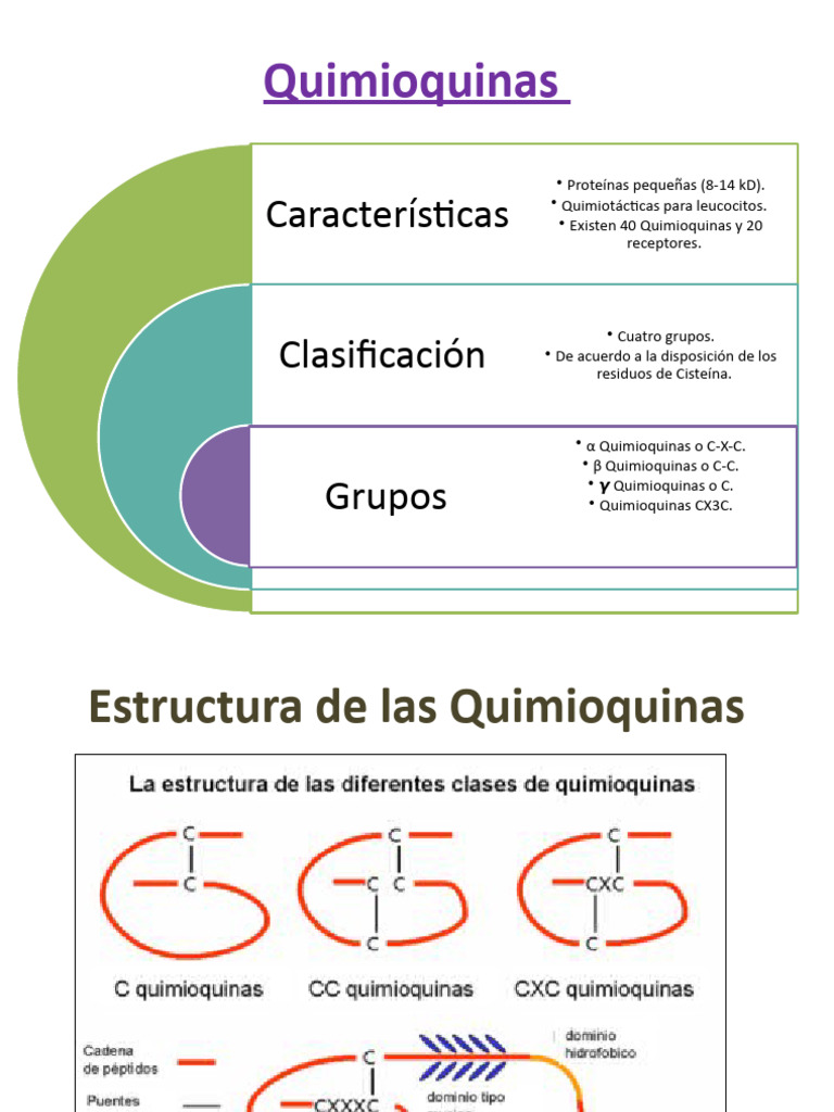 QUIMIOCINAS | PDF | Quimiocina | Biotecnología