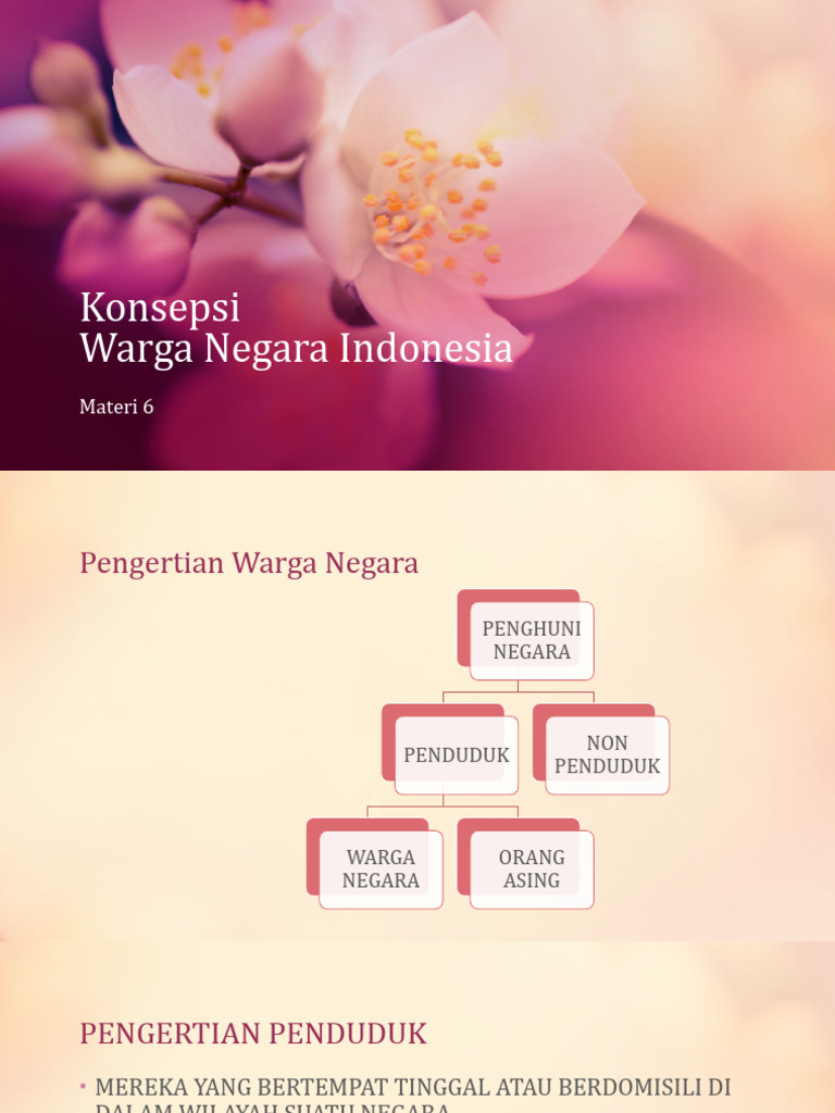PKN - Materi 6 Konsepsi Negara Indonesia | PDF