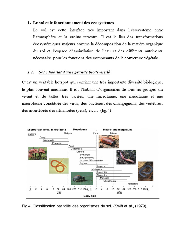 Rôle et fonctions essentielles du sol | PDF | Sol (pédologie) | Matière ...