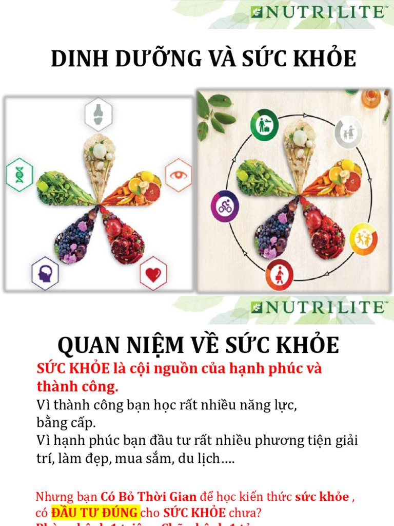 Dinh Dư NG T NG Quát | PDF