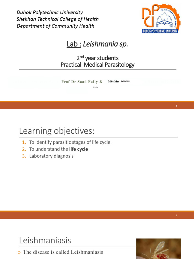 5 Lect 5 Pract 23-24leishmania | PDF | Clinical Medicine | Immunology