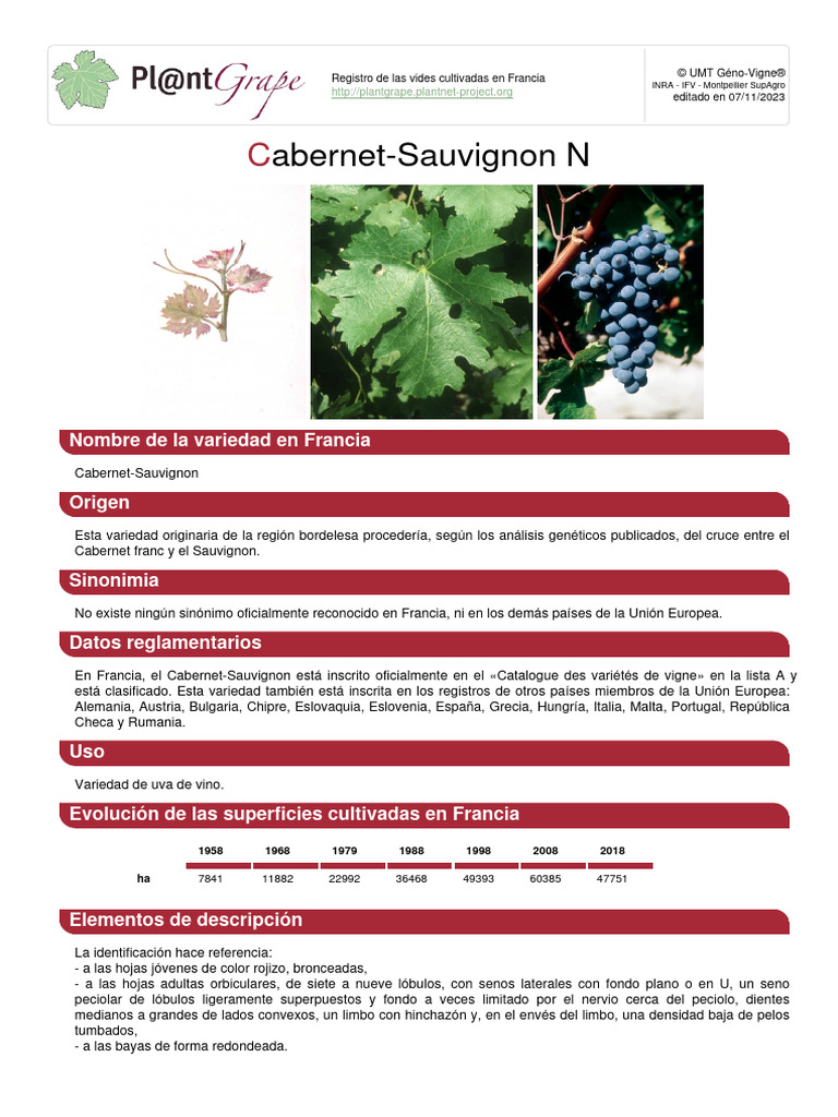 Abernet-Sauvignon N: Nombre de La Variedad en Francia | PDF | Vino ...
