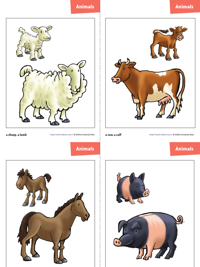 project_4e_level_2_unit_2_animals | PDF | Livestock | Mammals