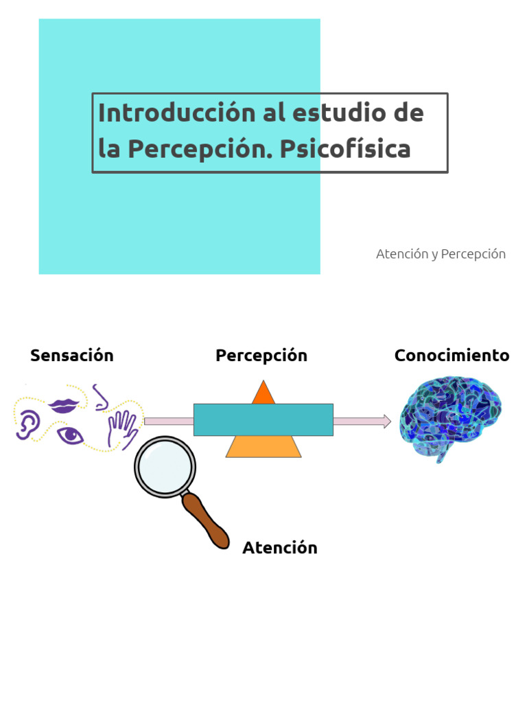 AyP1 - Introducción. Psicofísica | PDF | Percepción | Sistema nervioso