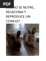 Ciclo de Vida del Conejo para Niños | PDF