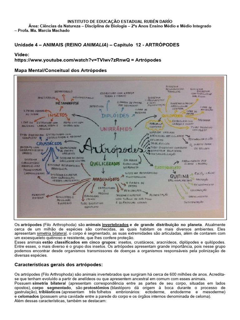 Reino Animalia - Cap. 12 - Artrópodes | PDF | Insetos | Crustáceo